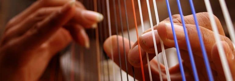 ARPA LLANERA: Qué es, origen, sus partes y más