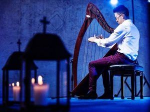 ARPA LLANERA: Qué es, origen, sus partes y más