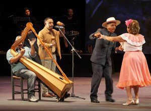 ARPA LLANERA: Qué es, origen, sus partes y más
