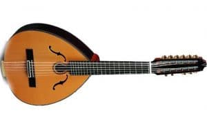 LAUD: Qué es, características, partes y mucho más