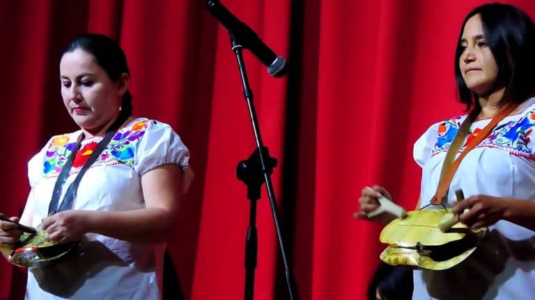 Descubre todo sobre el AYOTL: ¿Qué es? Su Historia, Finalidad y Más