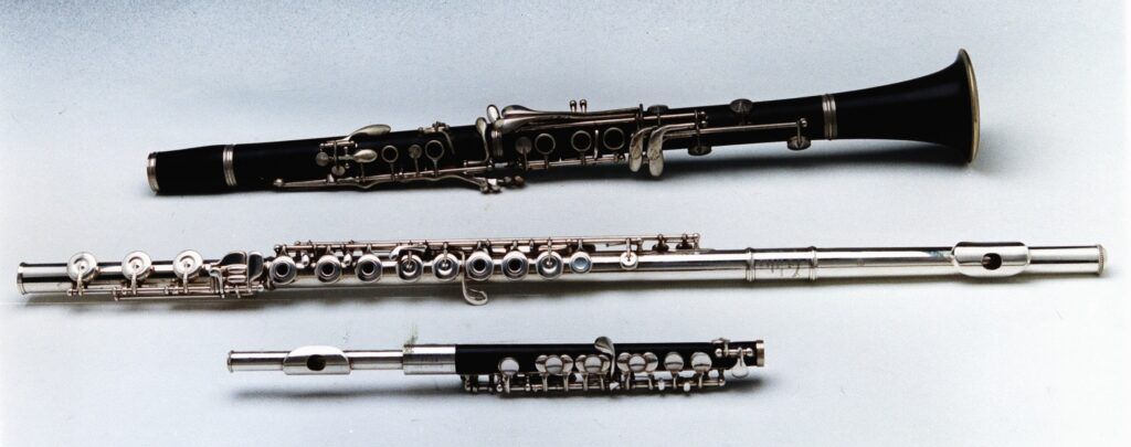 ¿Conoces todo sobre el FLAUTÍN? Descúbrelo aquí