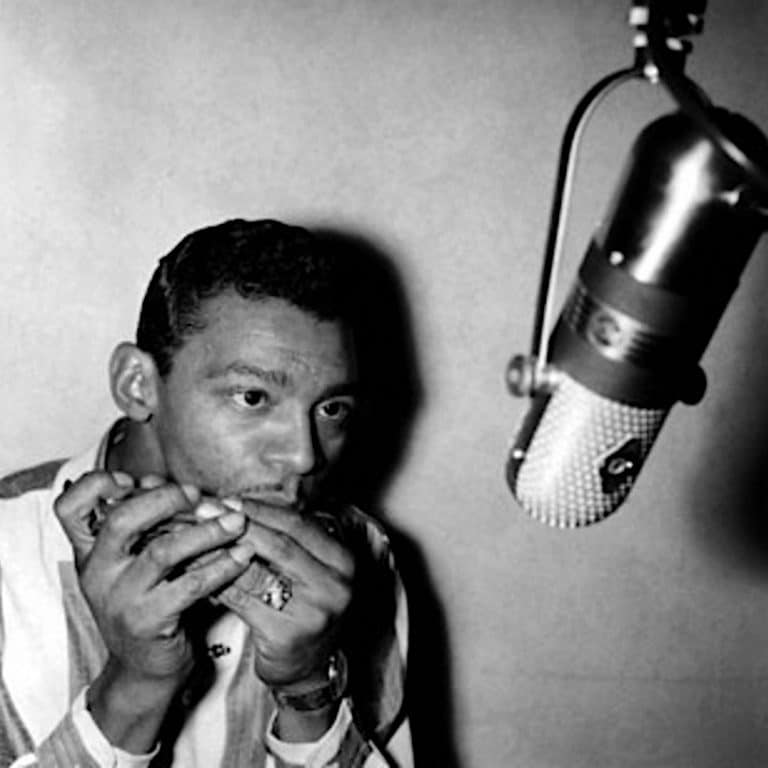 Aprende todo lo que necesitas saber sobre LITTLE WALTER