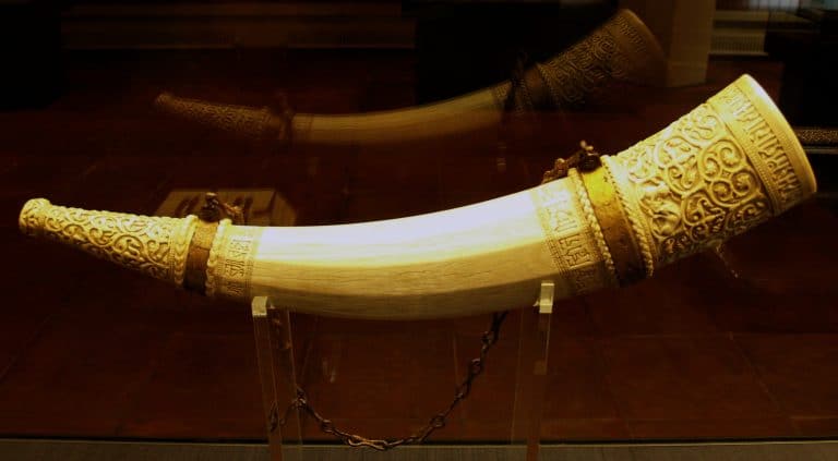 Descubre Aquí Todo lo que No Sabes del OLIFANTE