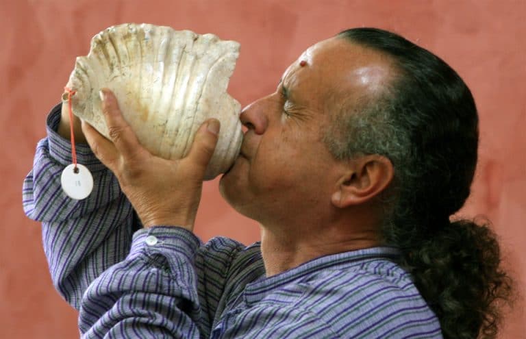 ¿Conoces el PUTUTU? Descubre Todo Sobre el Aquí