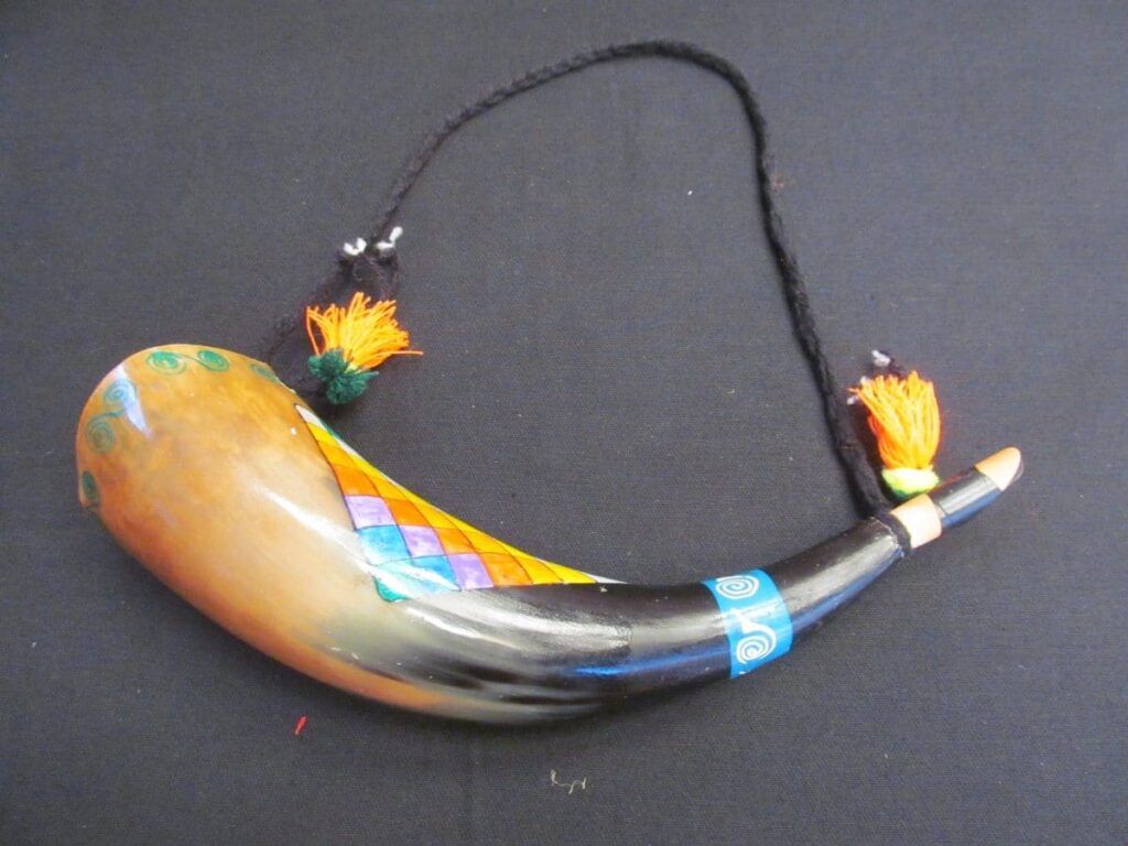 ¿Conoces el PUTUTU? Descubre Todo Sobre el Aquí