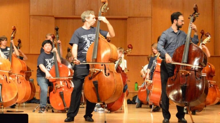 CONTRABAJO: Qué es, Historia, Significado y mucho más