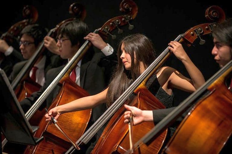 CONTRABAJO: Qué es, Historia, Significado y mucho más