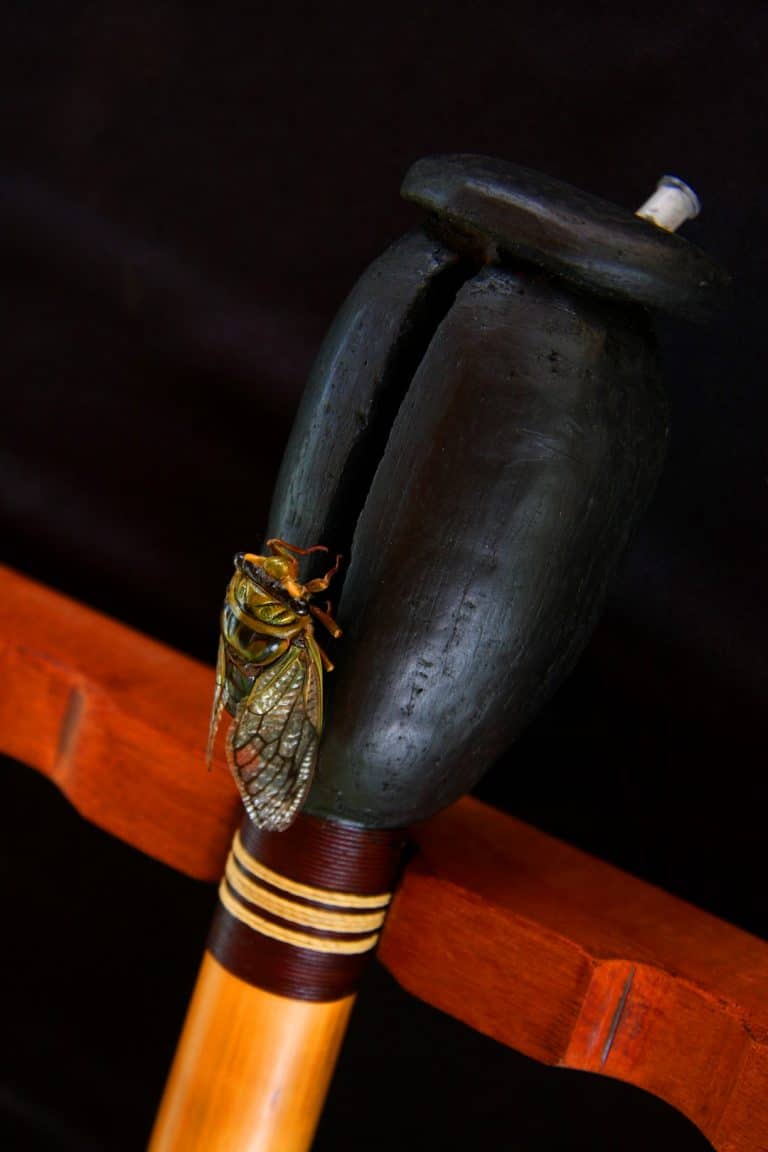 ¿Conoces LA GAITA COLOMBIANA? Aprende todo sobre ella aquí