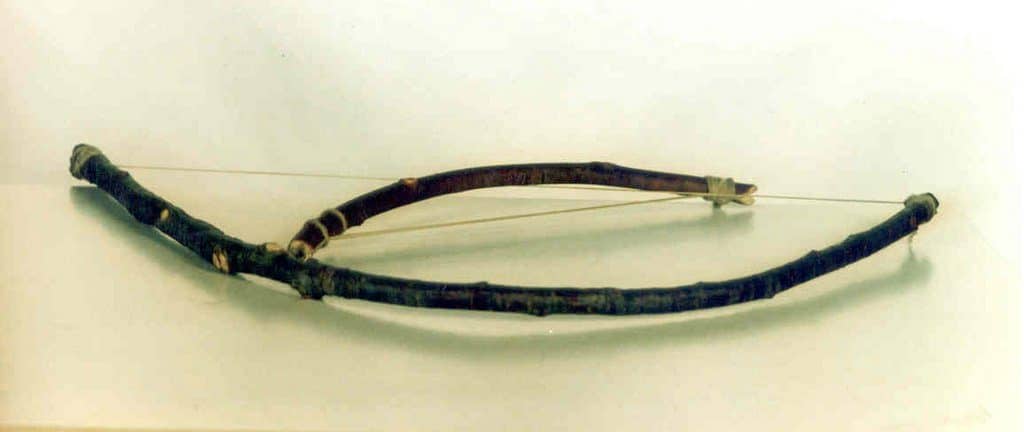 INSTRUMENTOS DE CUERDA: Historia, Características, y más