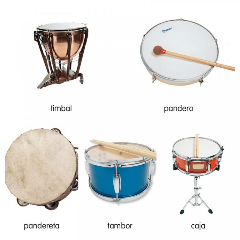INSTRUMENTOS DE PERCUSIÓN: Qué es, Origen, Historia y mucho más