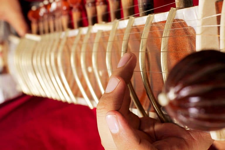 SITAR: historia, significado,tipos, características y mas