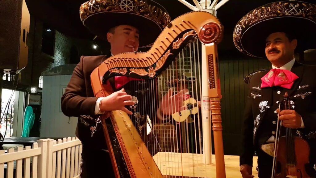 Descubre todo sobre el ARPA JAROCHA, un hermoso instrumento