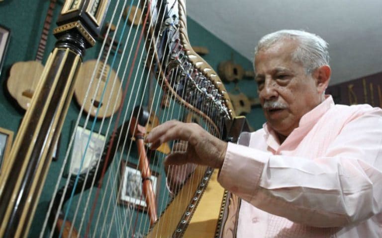 Descubre todo sobre el ARPA JAROCHA, un hermoso instrumento