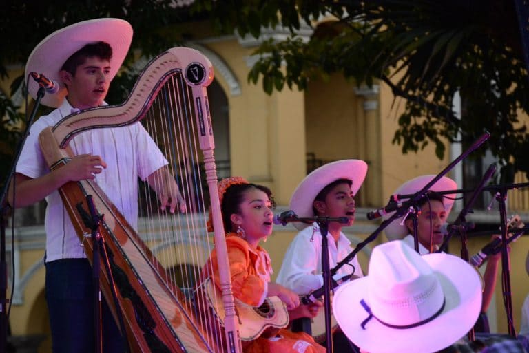 Descubre todo sobre el ARPA JAROCHA, un hermoso instrumento