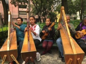 Descubre todo sobre el ARPA JAROCHA, un hermoso instrumento