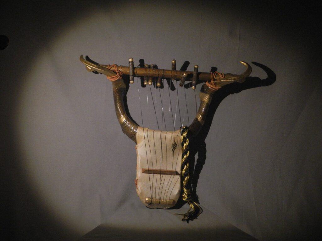 ¿Conoces el CHELYS? Aprende todo sobre este instrumento el aquí