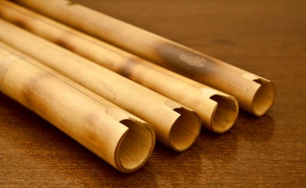 QUENA: ¿Que es?, cual es su origen, características y más