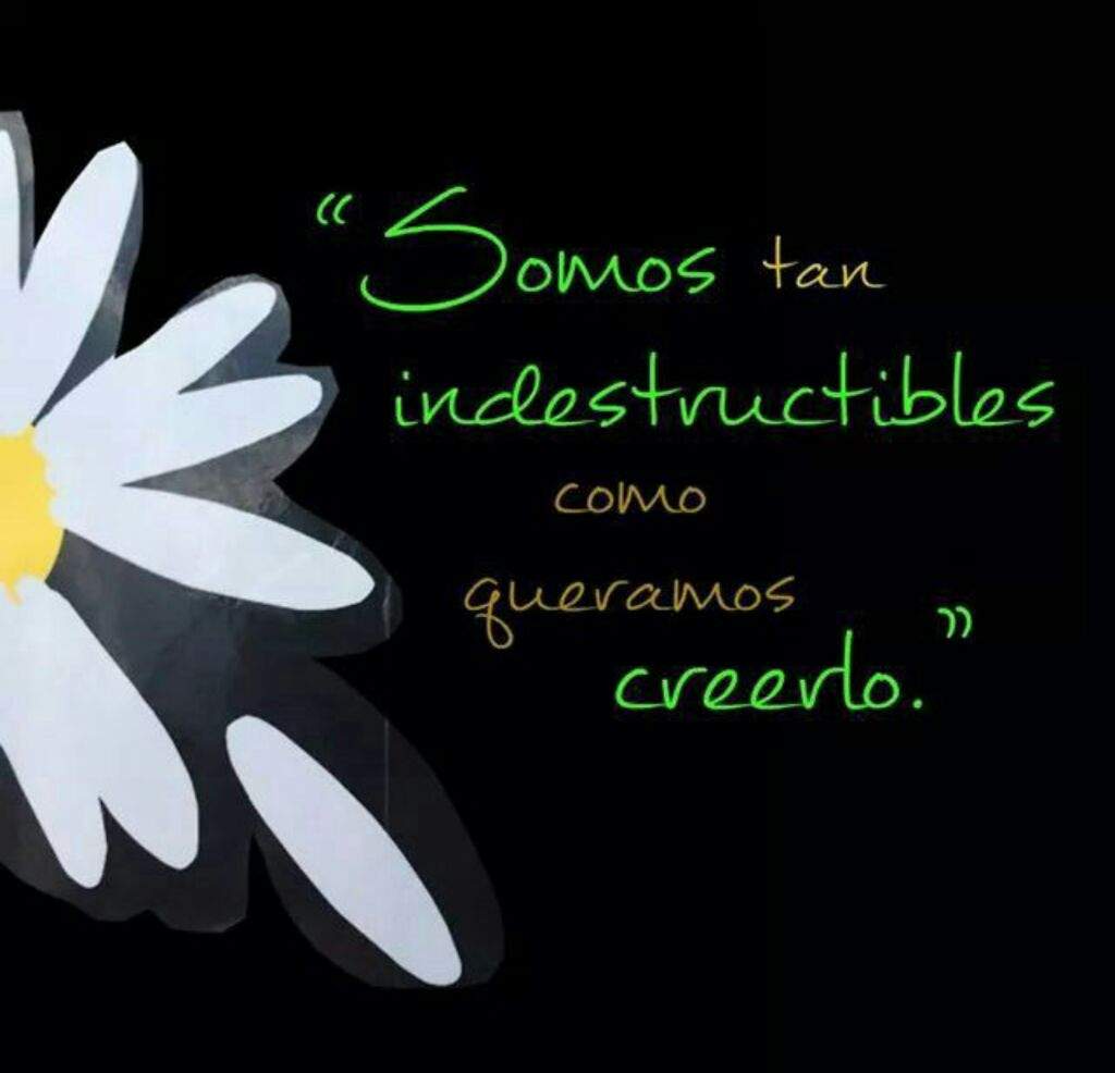 BUSCANDO A ALASKA UNA OBRA DE JOHN GREEN